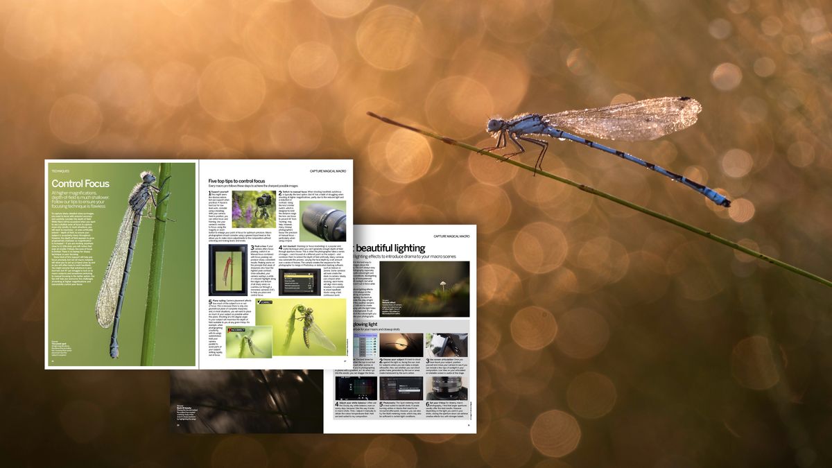 Shoot magical macro photos with Digital Photographer Magazine Issue 281 ...