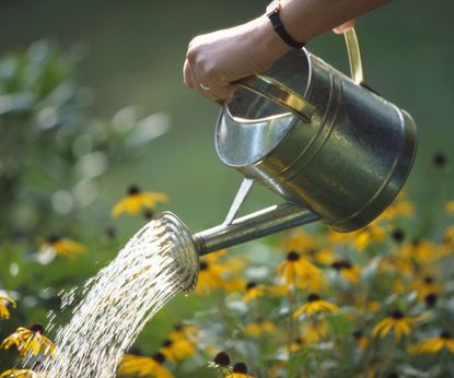 Garden watering mistakes: 8 problems to avoid | Homes and Gardens