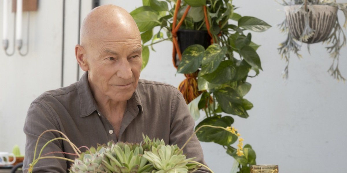 While We Wait For Our Last Picard Fix, Patrick Stewart Has A Fun New ...