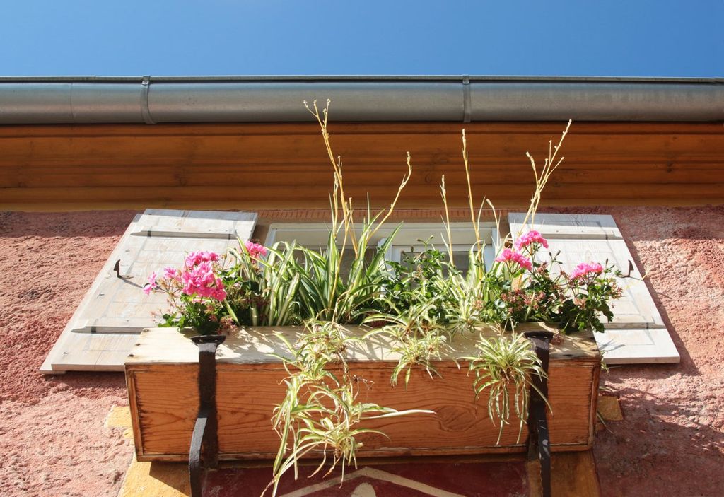Sun Loving Window Box Plants – How To Plant A Window Box In Full Sun ...