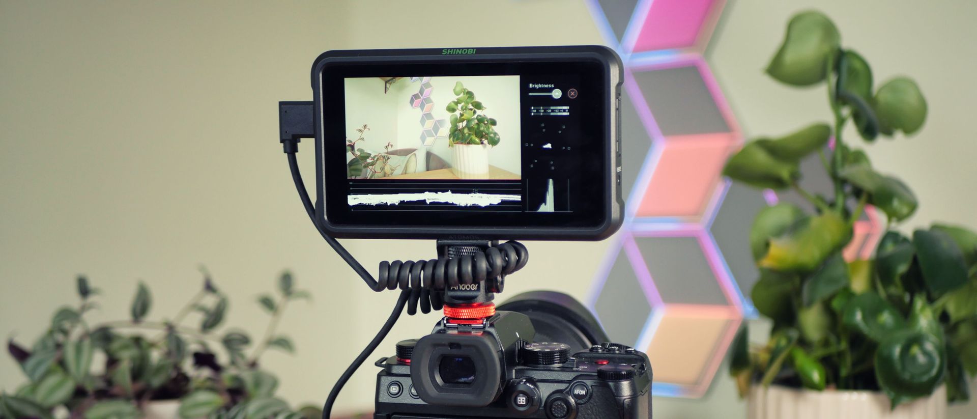 Atomos Shinobi review: A light, bright delight | Digital Camera World