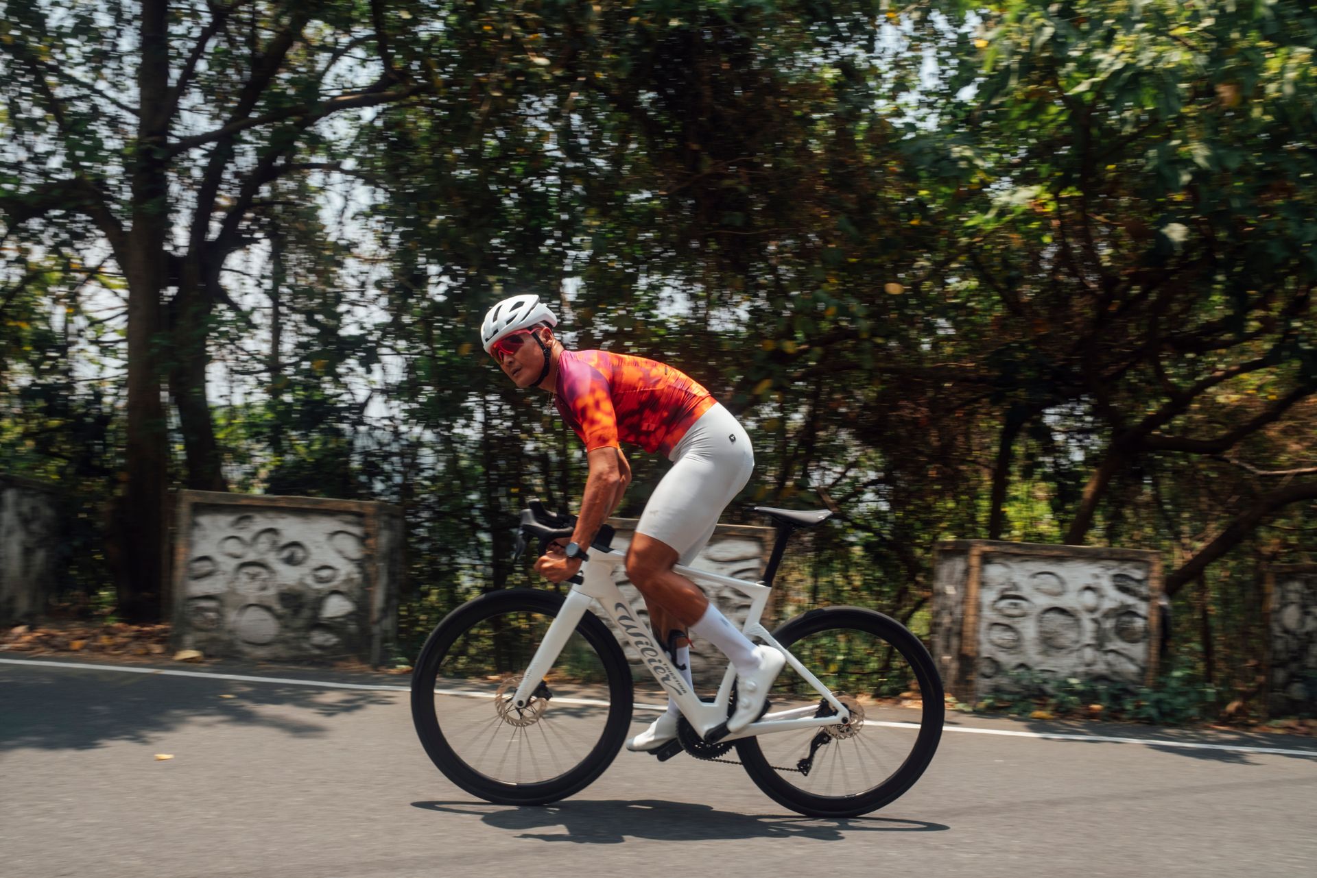 Wilier's new Rapida aims to entice more people to the brand with ...