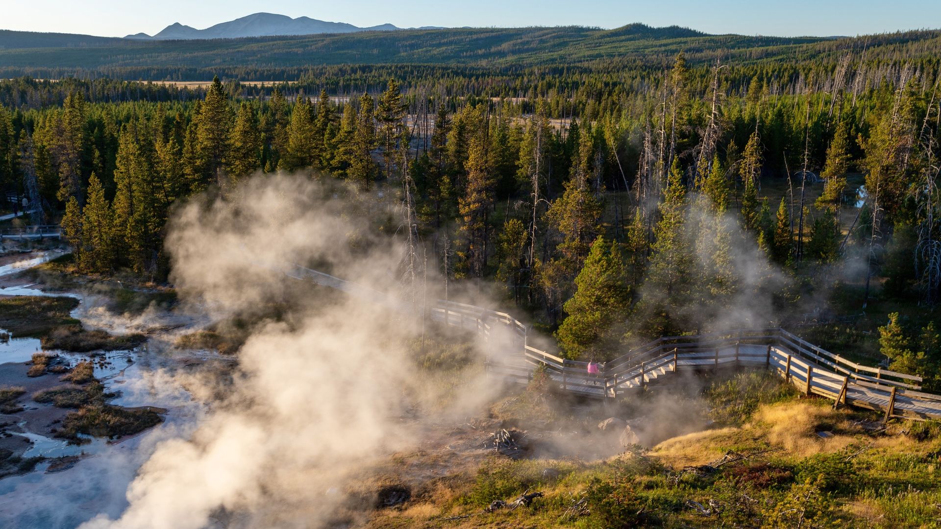 Tourist leads young children out to scalding hot springs at Yellowstone ...