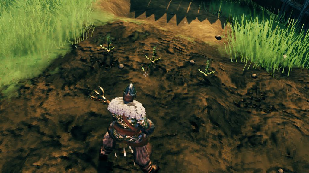 Valheim carrot farming: How to harvest them | PC Gamer
