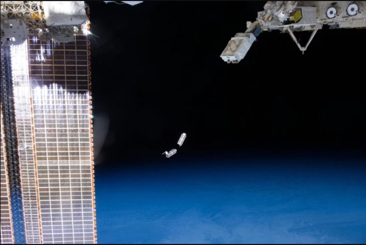 Sweating the Small Stuff: CubeSats Swarm Earth Orbit | Space