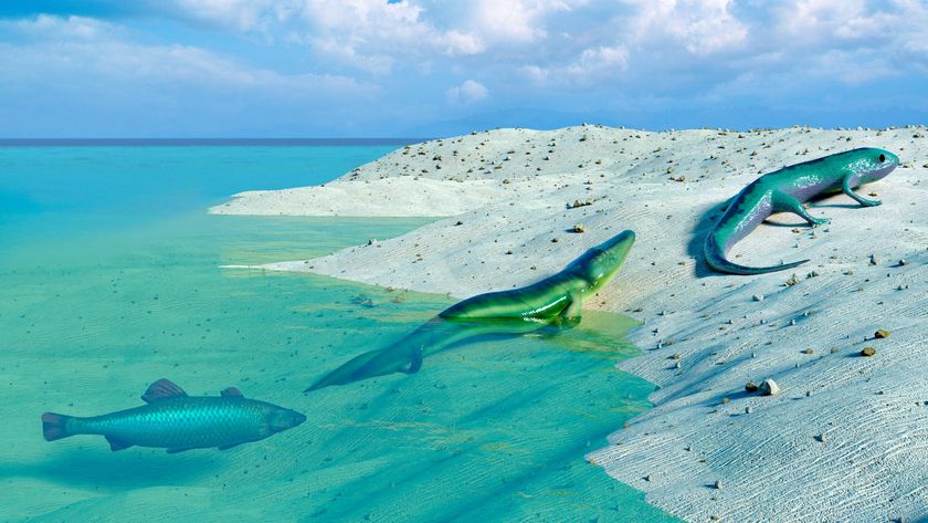 Evolution - News and Scientific Articles on Live Science | Live Science