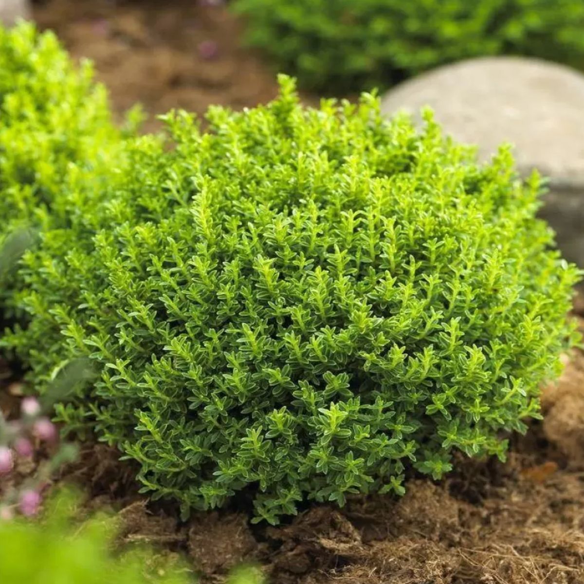 13 front garden driveway ideas that are practical and pretty | Homebuilding