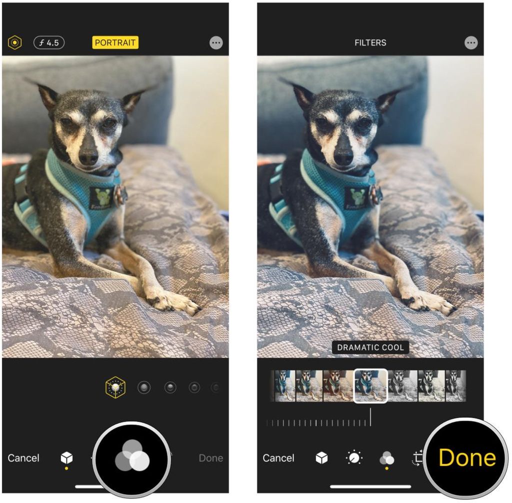 How to apply filters in the Photos app for iPhone and iPad | iMore
