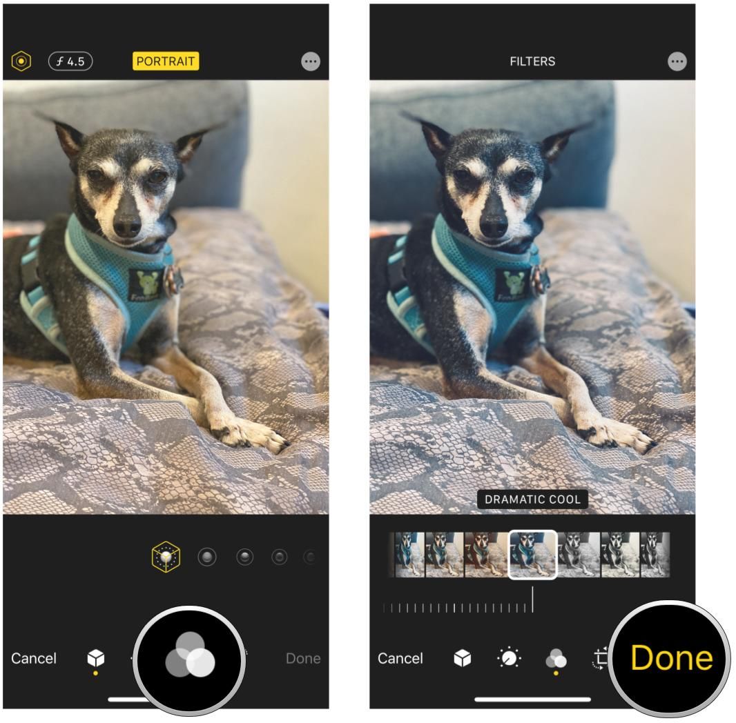 How to apply filters in the Photos app for iPhone and iPad | iMore