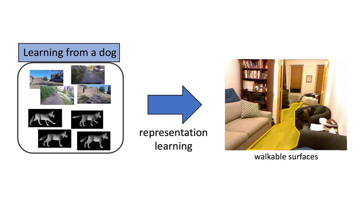 Teaching an AI using a dog garners some unexpected results | TechRadar