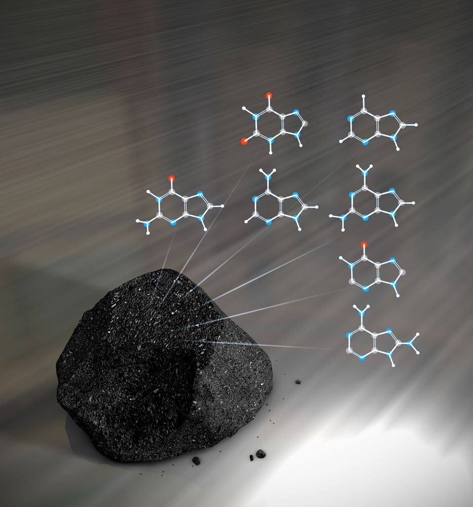 Origin of Life Probed in Scientific Contest | Space