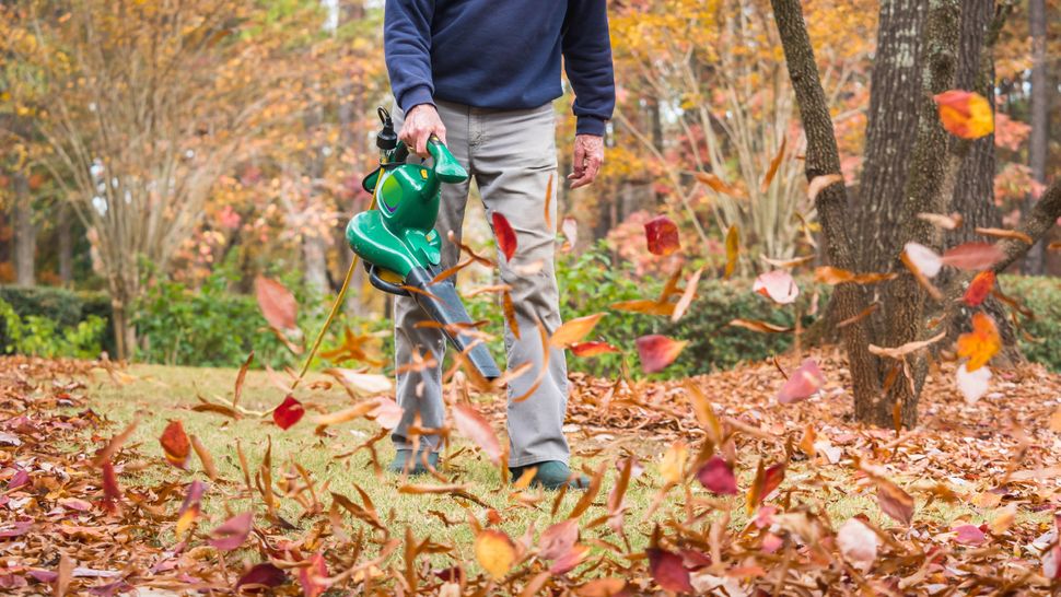 How to use a leaf blower the right way — 7 top tips for cleaning your ...