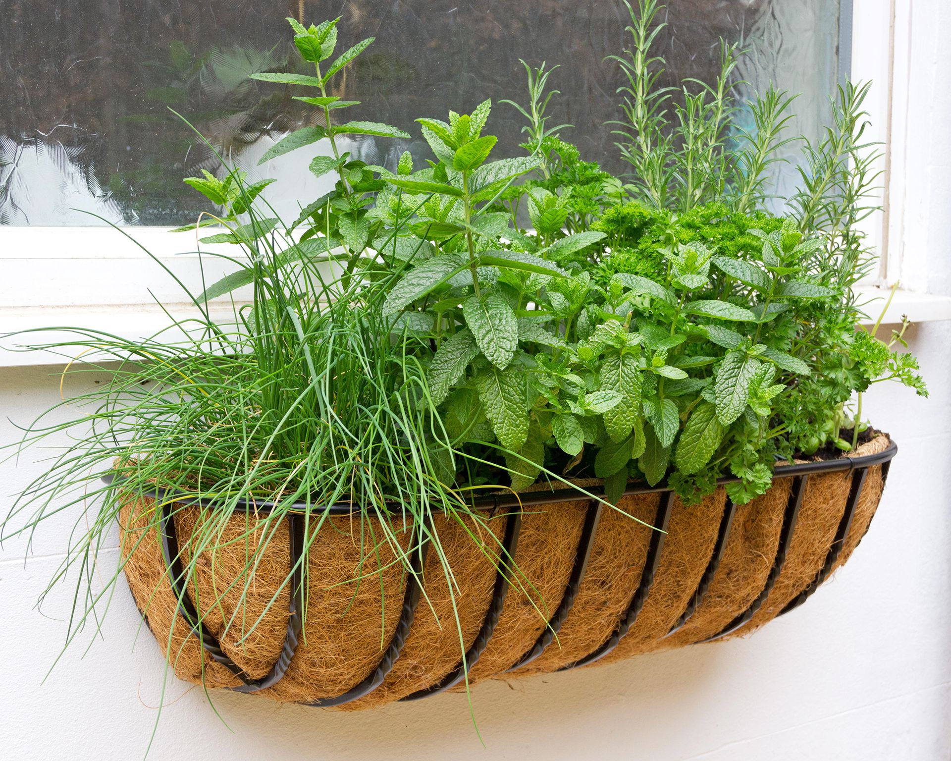 15 Herb Garden Planter Ideas – Grow An Aromatic Patio Feast | Gardening ...