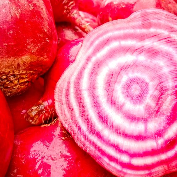 Heirloom Vegetable Varieties - Growing Chioggia Beetroot | Gardening ...