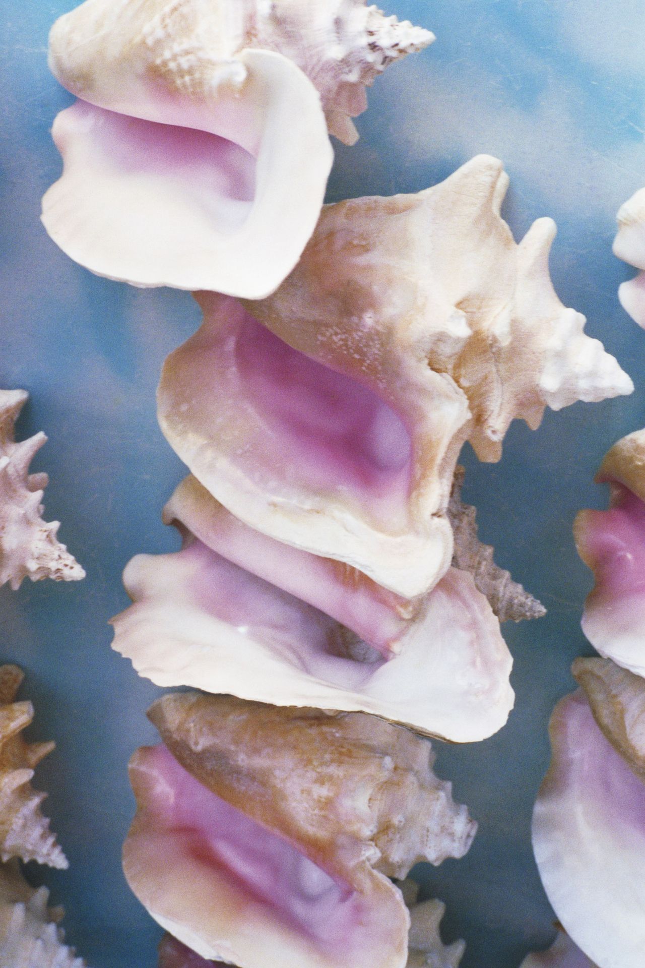 Chris Rhodes’ first photobook is an ode to the everyday | Wallpaper*