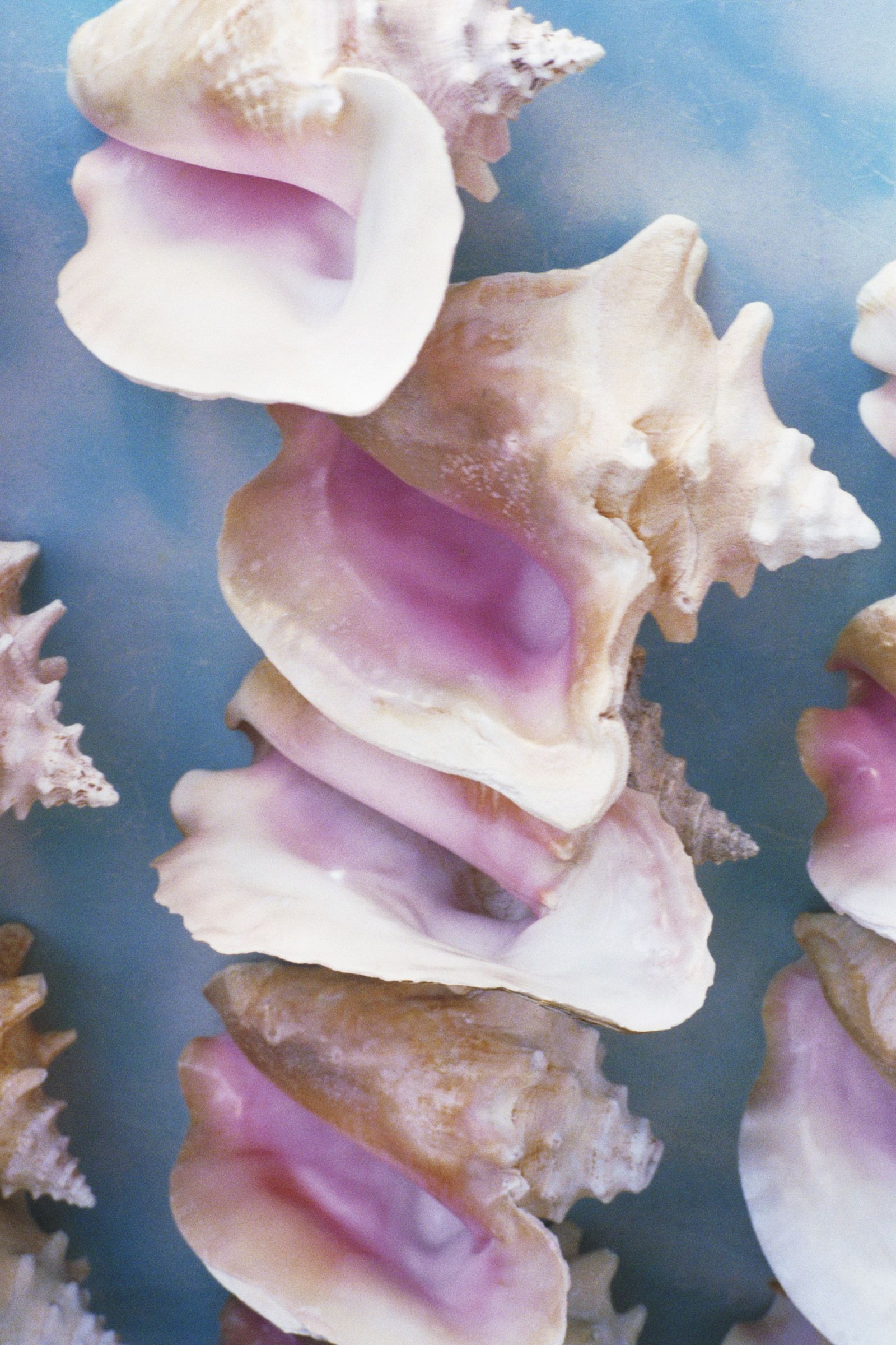 Chris Rhodes’ first photobook is an ode to the everyday | Wallpaper