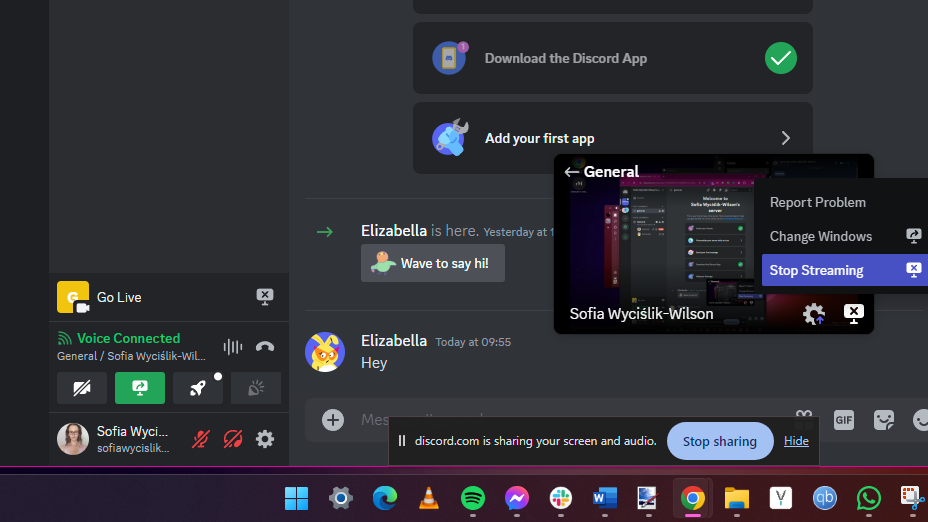 How to share your screen on Discord | TechRadar