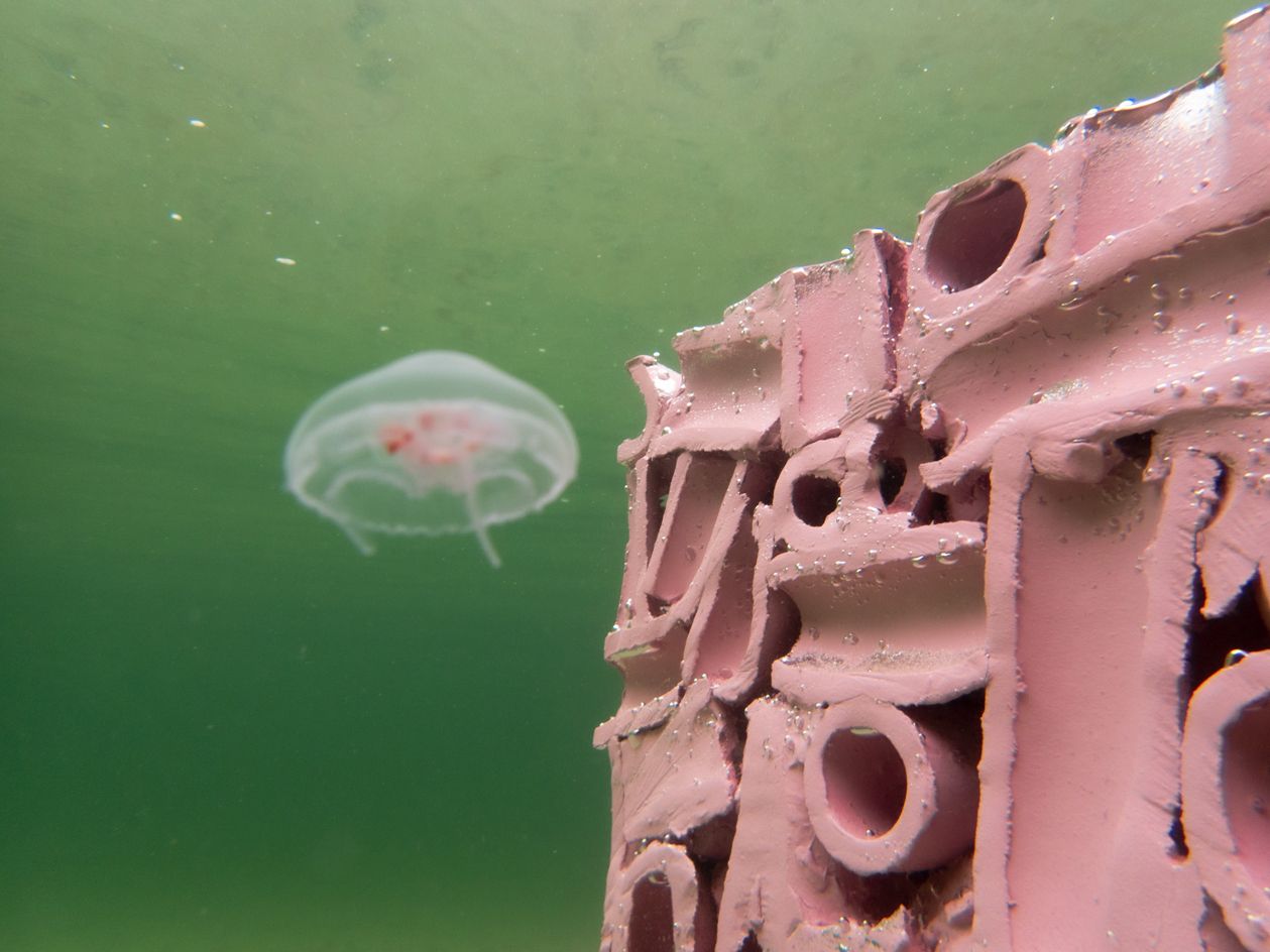 Superflex's Super Reef aims to rebuild the underwater world | Wallpaper