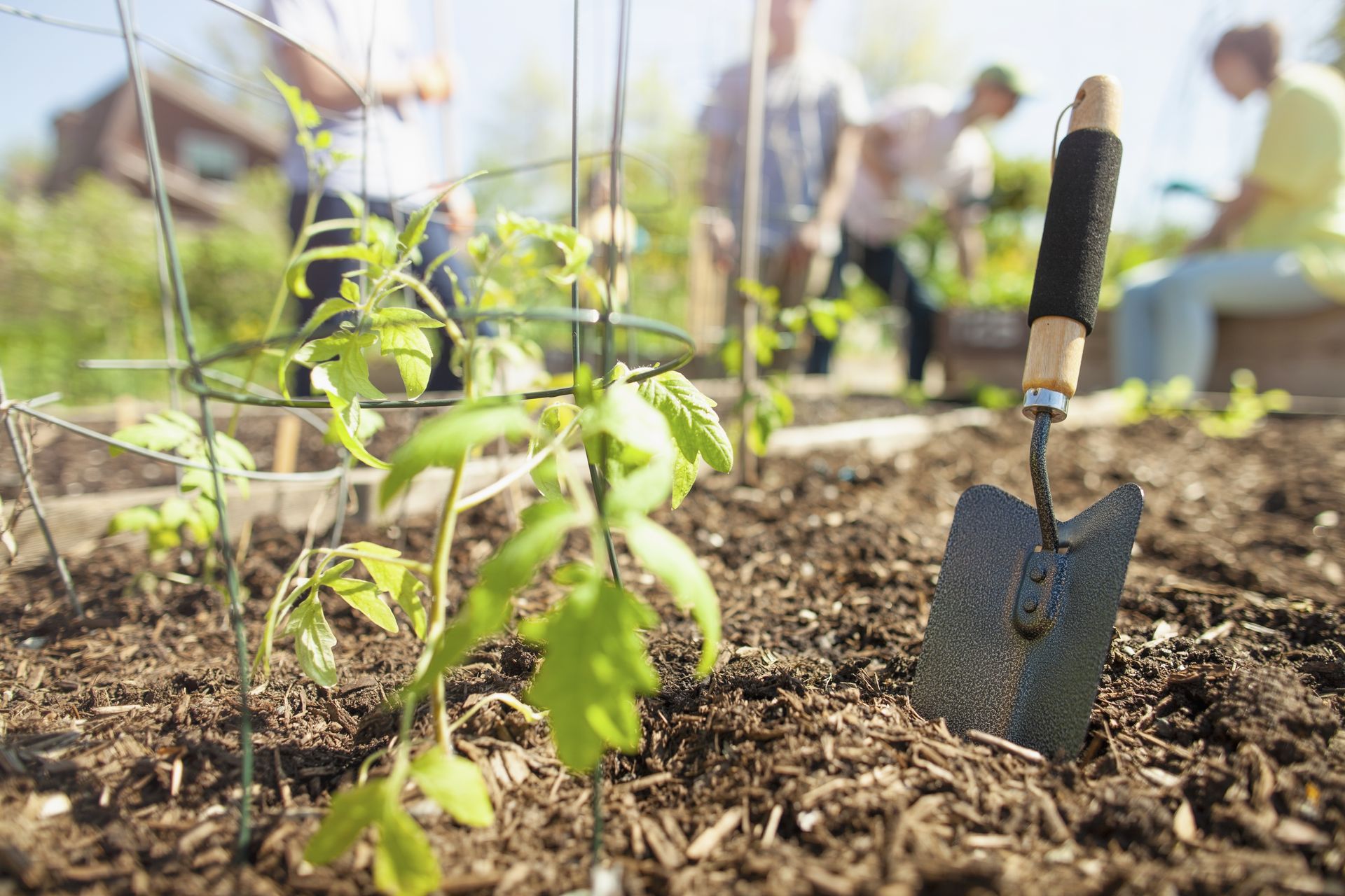 8 Japanese Gardening Tools That Will Elevate Your Backyard | Livingetc
