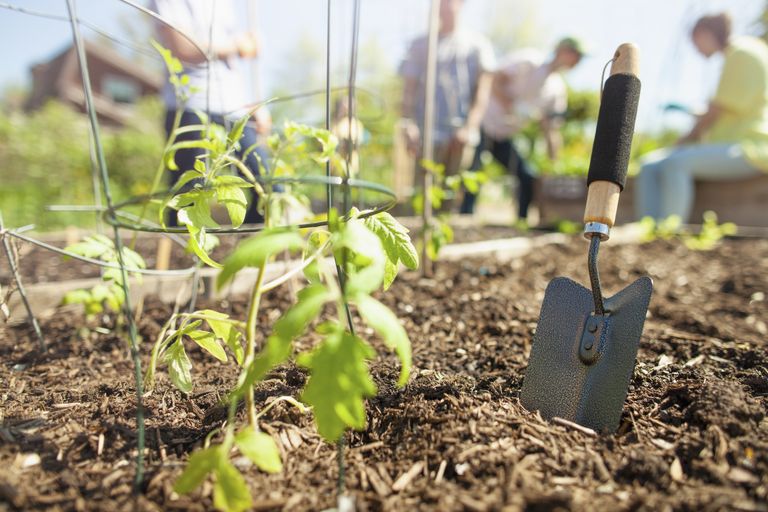 8 Japanese Gardening Tools That Will Elevate Your Backyard | Livingetc