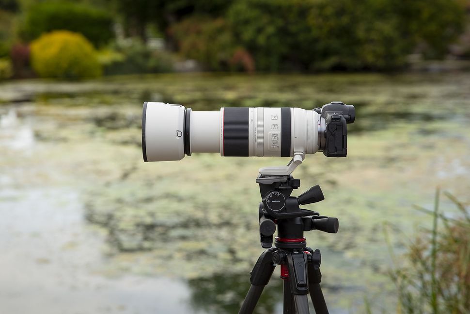 Canon RF 100-500mm f/4.5-7.1L IS USM review | Digital Camera World