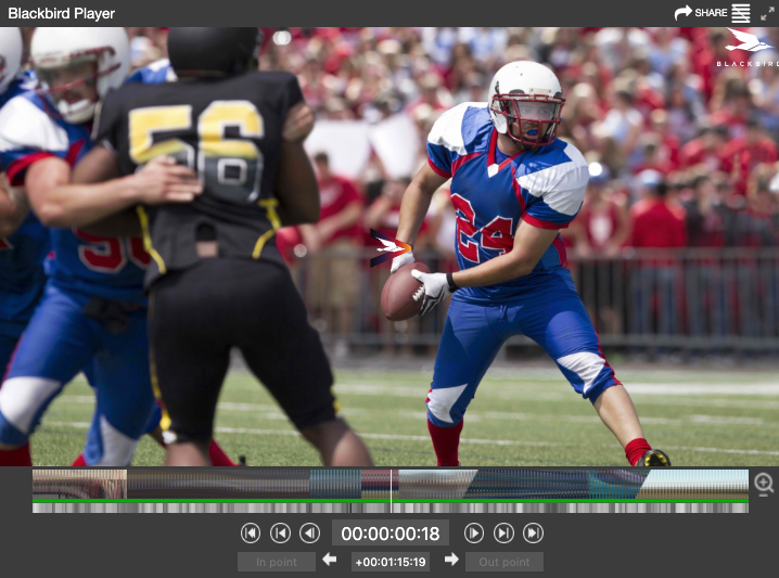 Xytech, Blackbird to Launch Frame Accurate Codec Player for MediaPulse ...