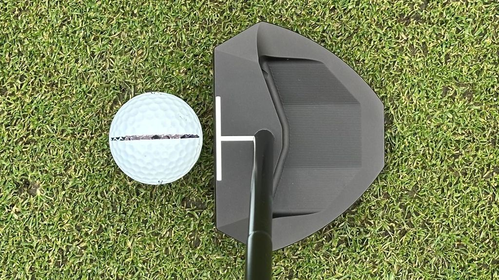 L.A.B. Golf OZ.1i vs TaylorMade Spider 5K-ZT Putter: Read Our Head-To ...