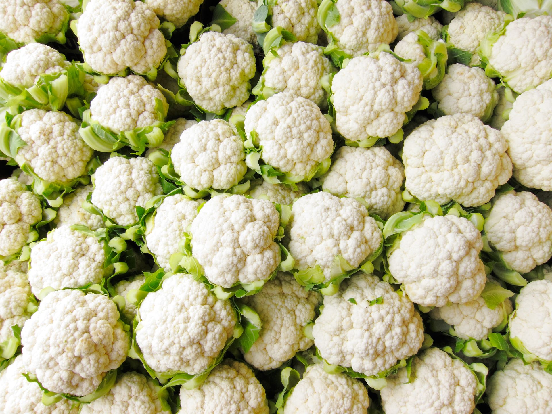 Gill Meller's recipe for wholesome and flavourful cauliflower cheese ...
