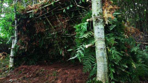 How to build a natural shelter | Advnture