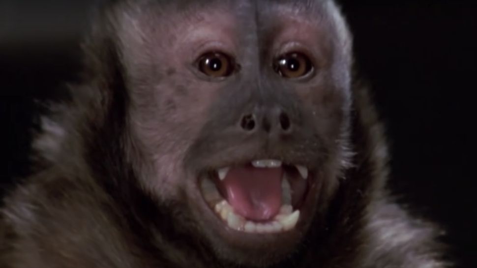 32 Scary Animal Movies That Aren't About Dinosaurs Or Sharks | Cinemablend