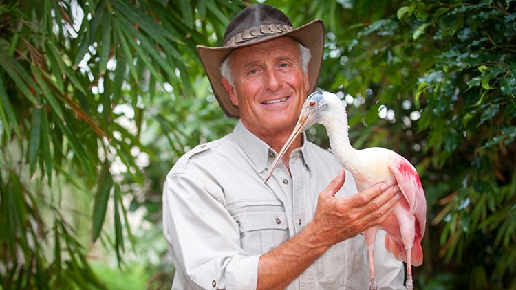 CuriosityStream Adds Four Litton Shows | Next TV | Broadcasting+Cable