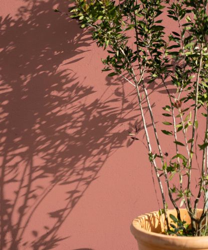 The three paint colors you need to liven up your garden | Gardeningetc