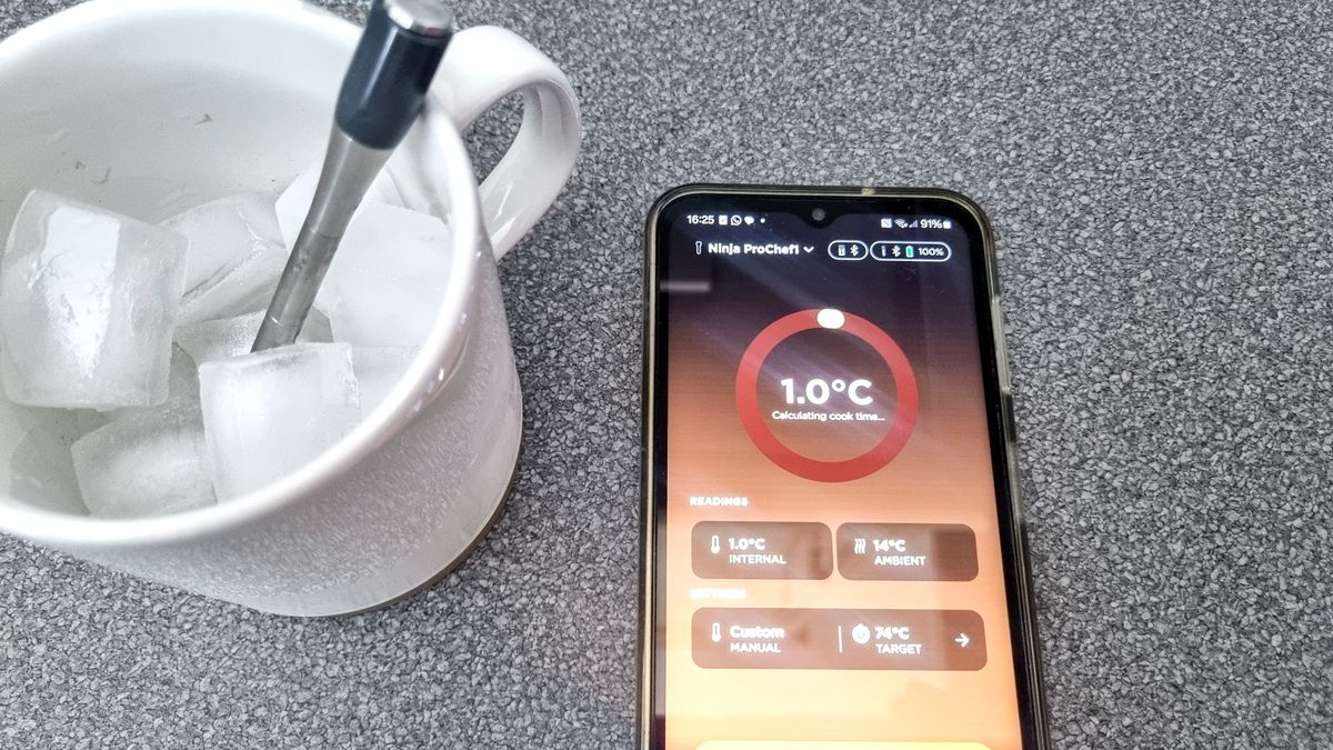 Ninja ProChef Wireless Thermometer review | Tom's Guide