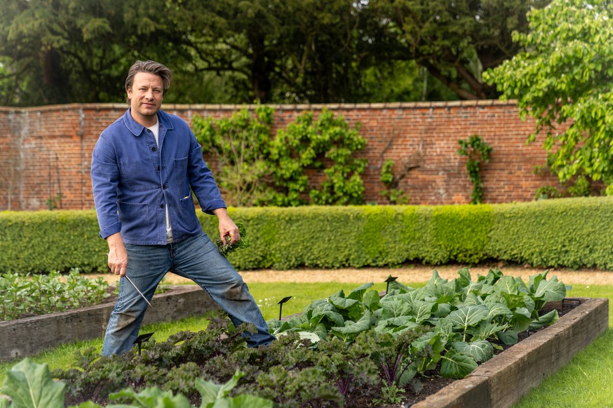 Jamie Cooks Spring: release date, episodes and all we know | What to Watch