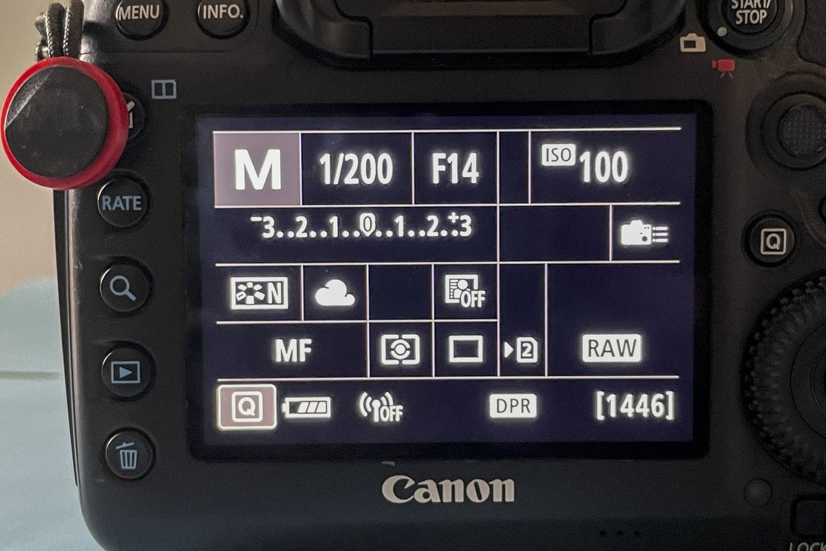 Take incredible insect photos with cheap extension tubes | Digital ...