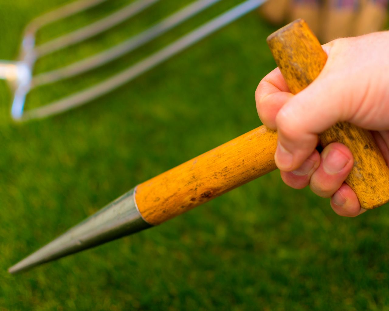 A Dibble Is The Forgotten Garden Tool You Need For Easy Planting ...