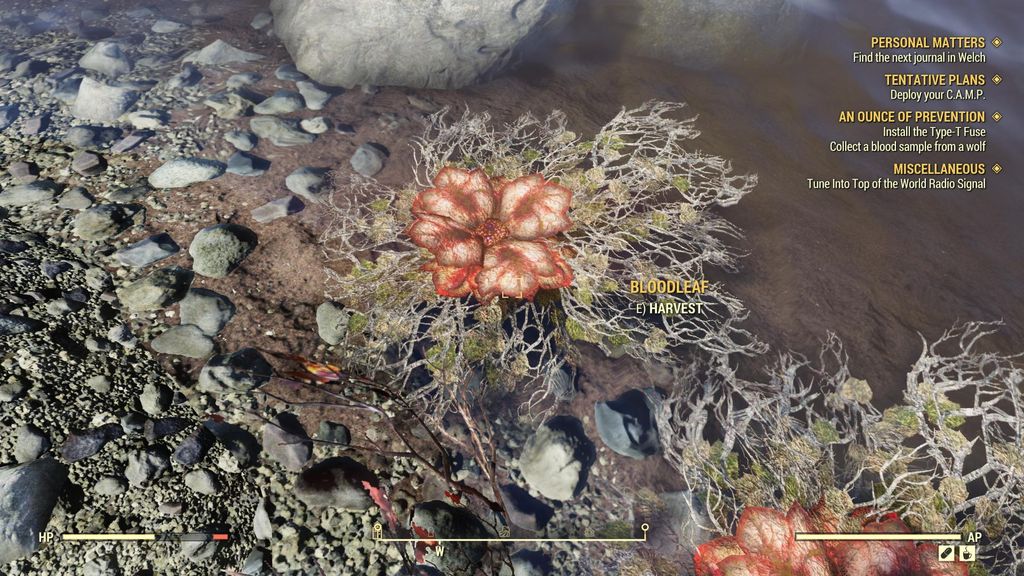 How to find the stimpak recipe in Fallout 76 | PC Gamer