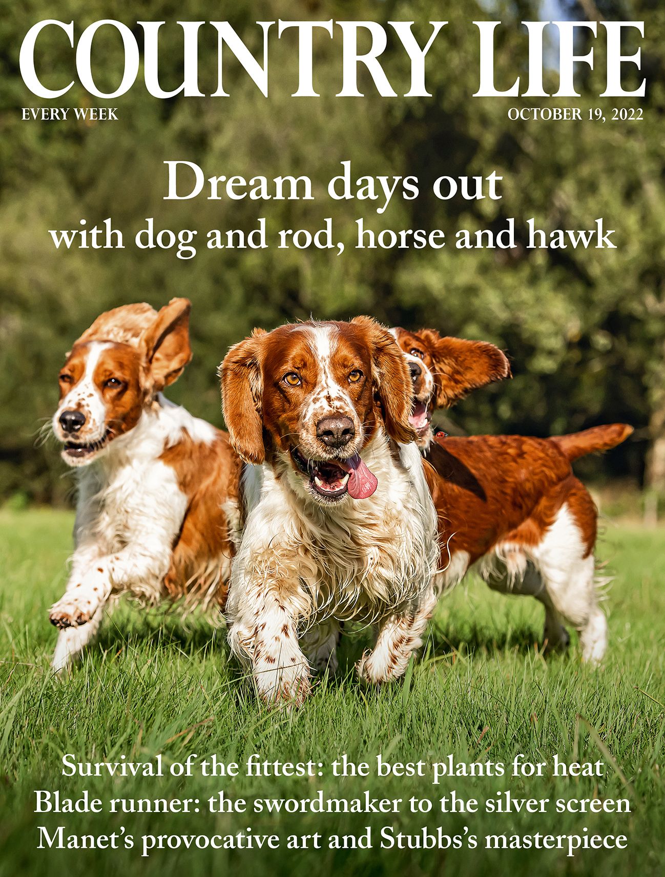 Country Life 19 October 2022 | Country Life