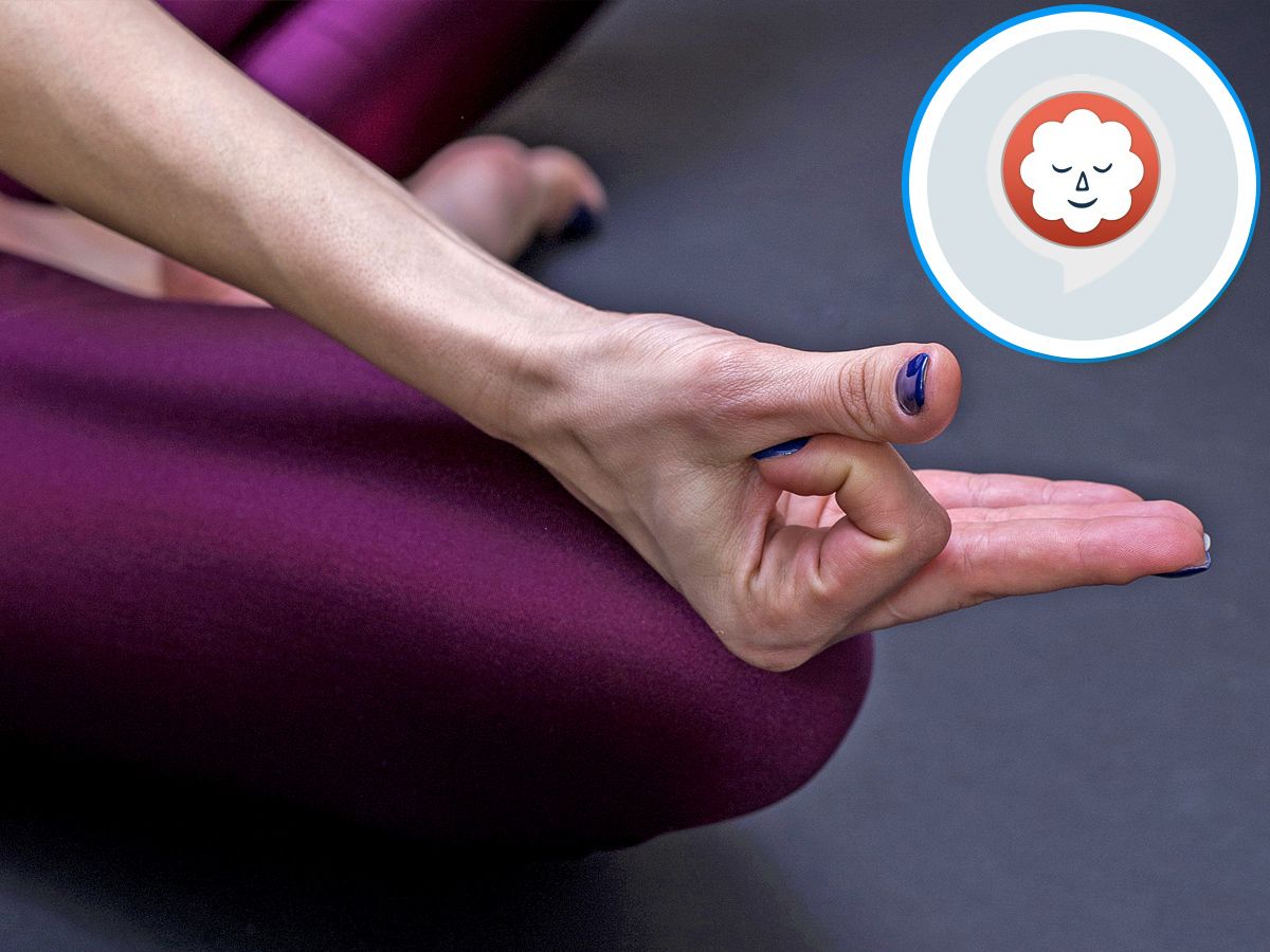 17 Best Alexa Skills for Health and Fitness | Tom's Guide