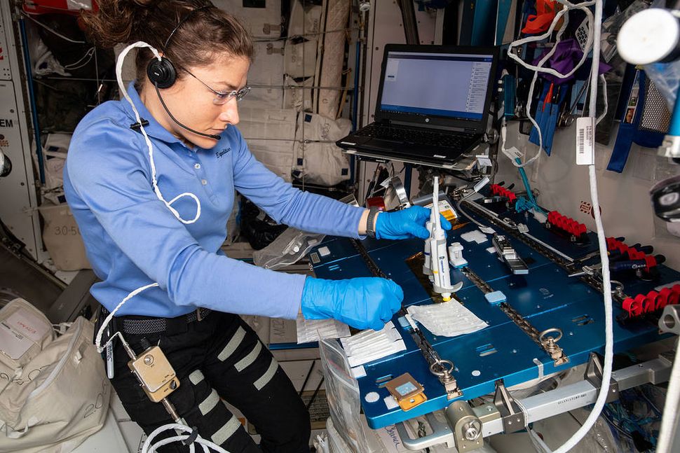 Astronauts successfully demonstrate DNA repair in space using CRISPR ...