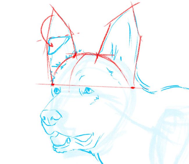 How to draw a dog | Creative Bloq