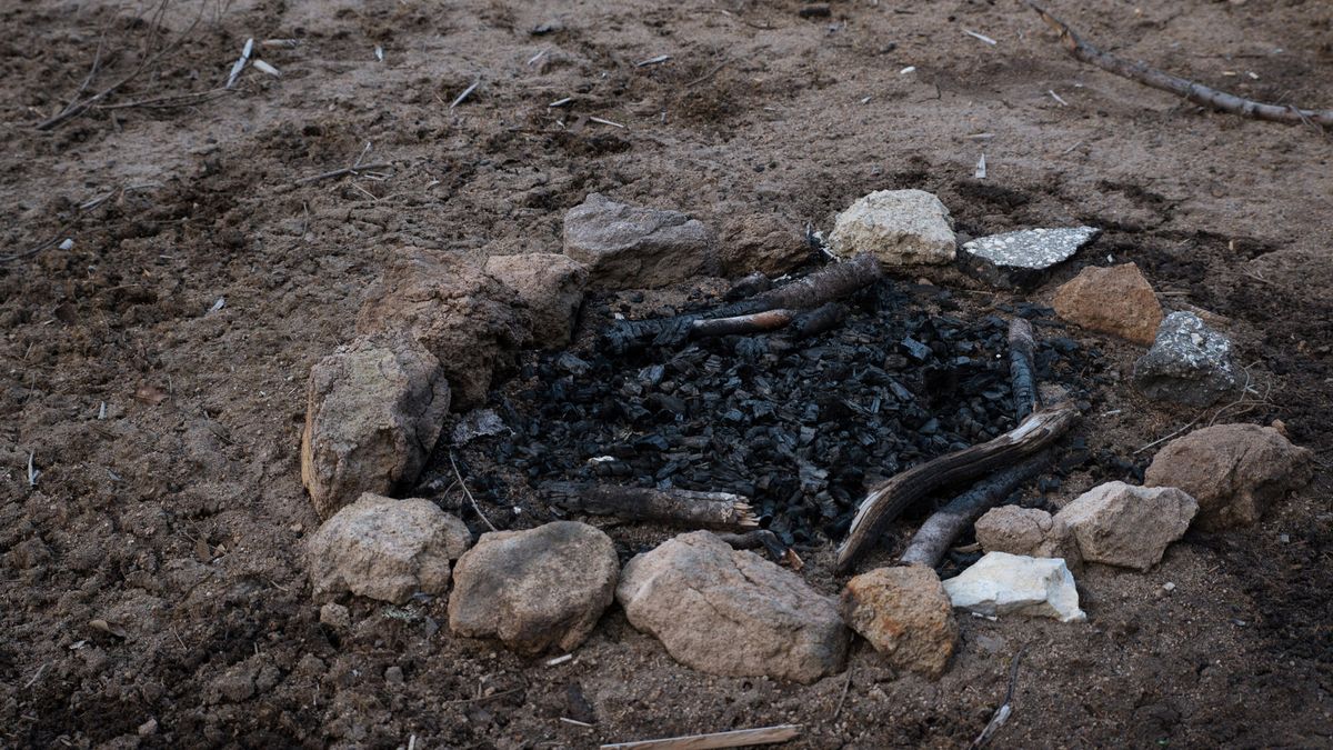 Wildfire safety: how to prevent and stay safe from wildfires | Advnture