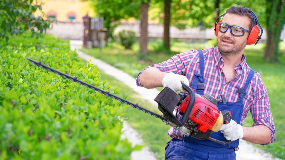 7 mistakes to avoid when trimming a hedge | Tom's Guide