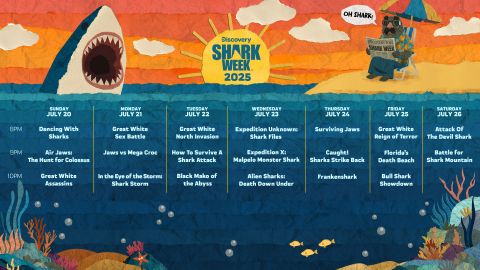 How to watch Shark Week 2025: Live TV & streaming schedule for ...