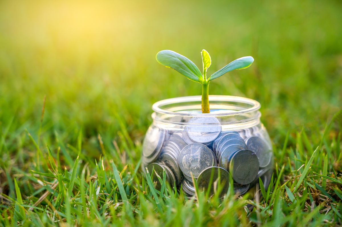 What is a drawdown? | MoneyWeek