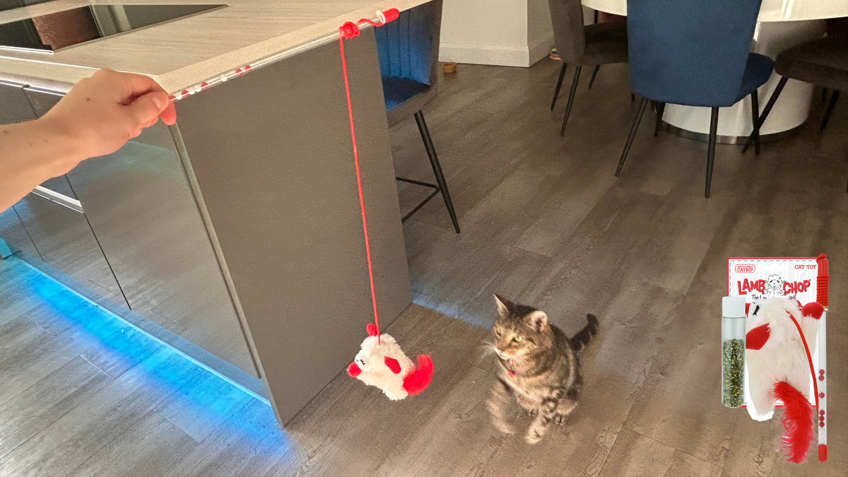 Best catnip toys we tried and tested – and are worth it! | PetsRadar