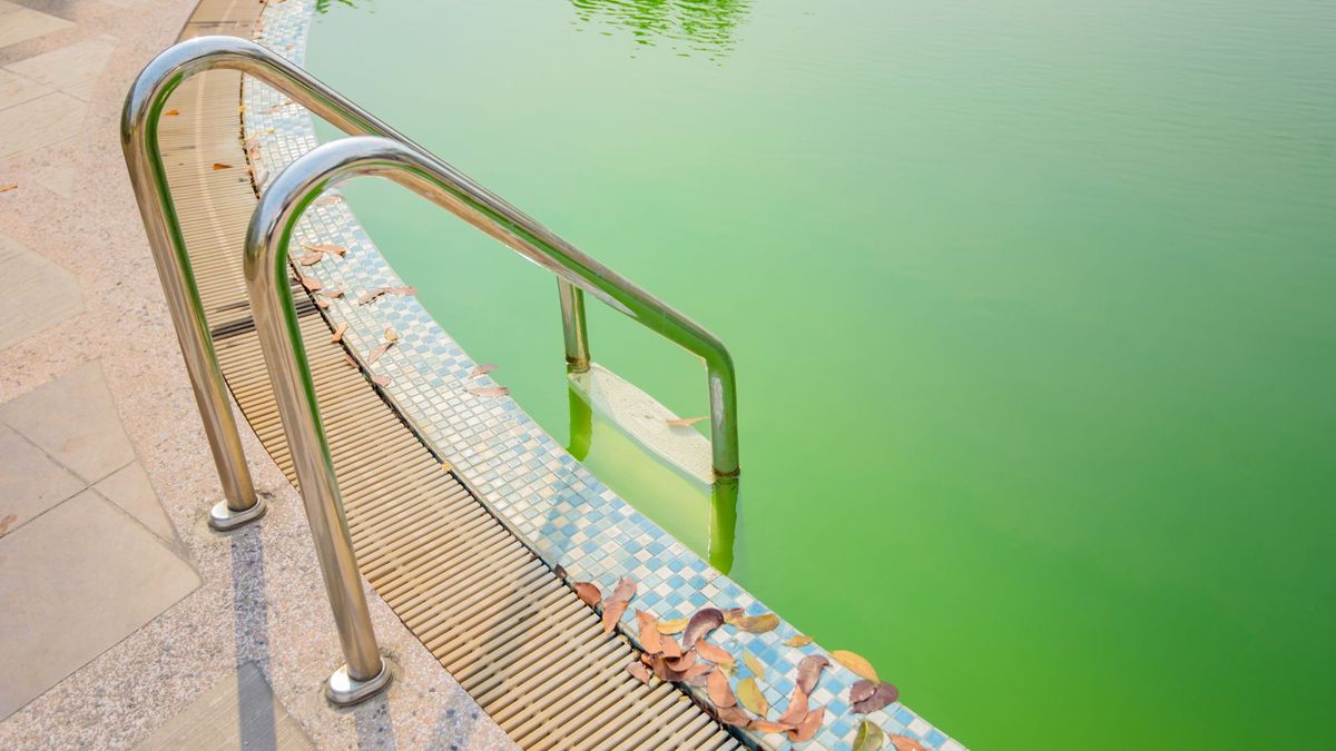 How to shock a pool — 5 steps to clean, clear swimming water | Tom's Guide