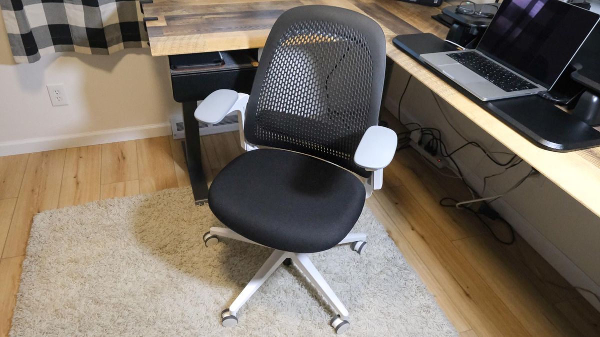 Best budget office chairs of 2025: All the comfort without the bells ...