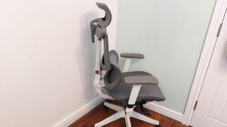 FlexiSpot C7 Office Chair review: ergonomically supportive office or WFH solution – with one ...