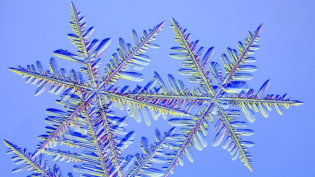 How big can snowflakes get? | Live Science